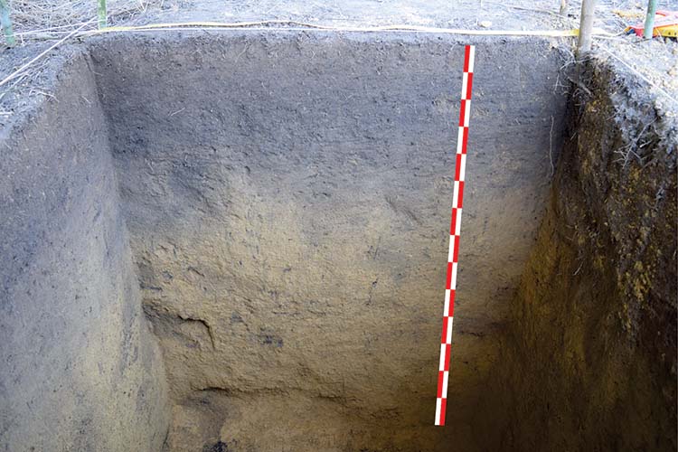 dark earth – The Perron group at MIT