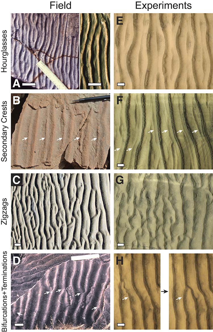 sediment transport – The Perron group at MIT