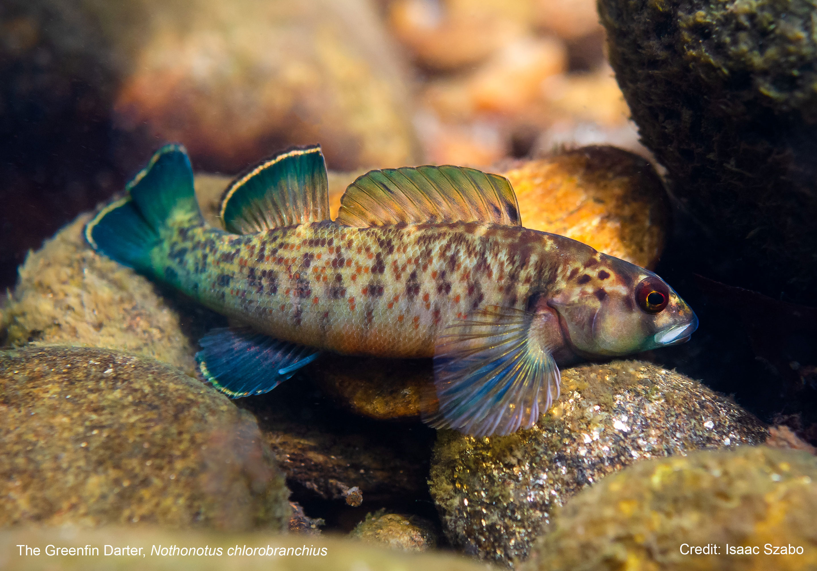 News – The Perron group at MIT